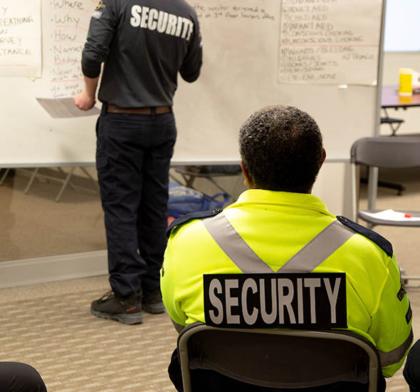 Protection Services - Solutions Service